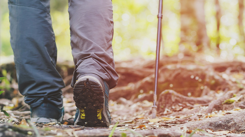 How to reduce your carbon footprint at home | Efficiency Vermont