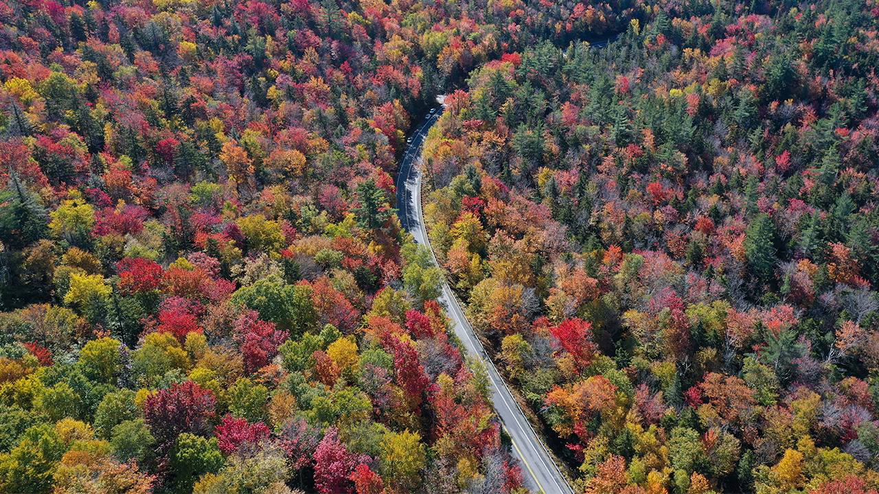 Happy Fall! Energy efficiency meets the best of Vermont | Efficiency ...